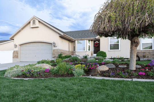 Color Changing Outdoor Lighting | LED Bright Landscape Lights | Trimlight
