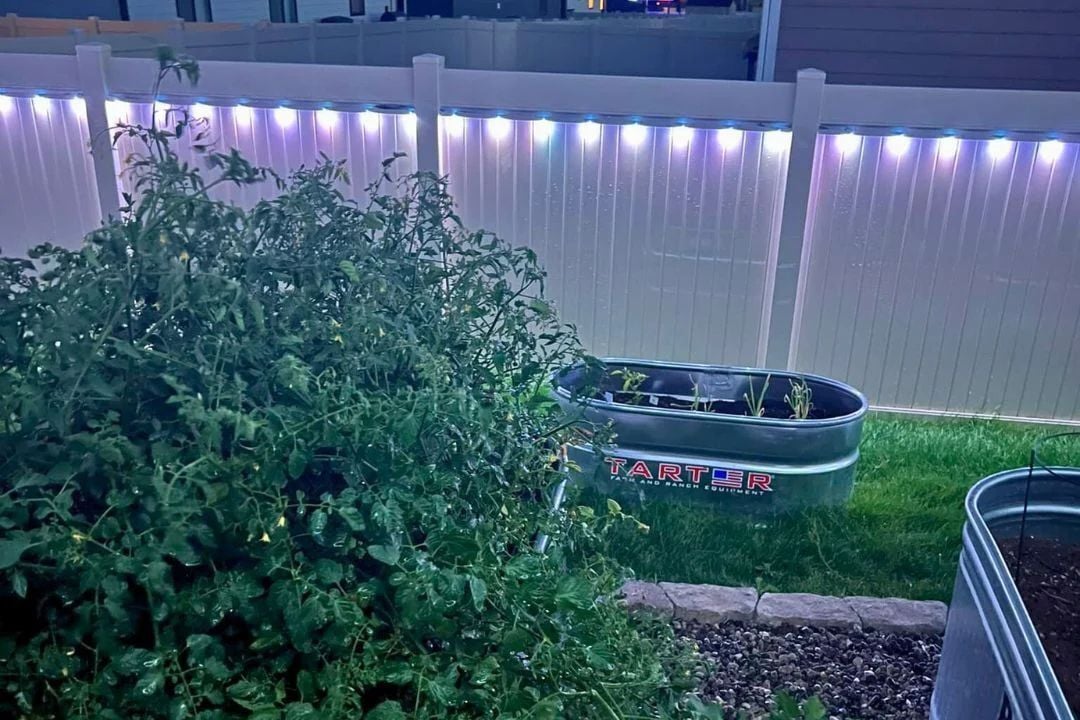 Master Holiday and Event Decorating with Trimlight Permanent Fence Edge ...